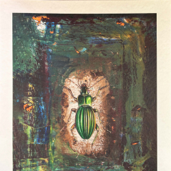 Ergin İnan 16144 | Zeplin Sanat